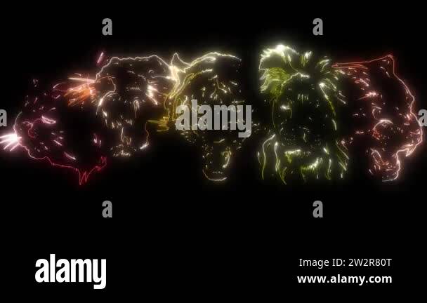 Feline head Stock Videos & Footage - HD and 4K Video Clips - Alamy