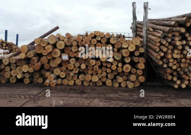 Aerial view of Large stack of firewood piled flawlessly in huge ...