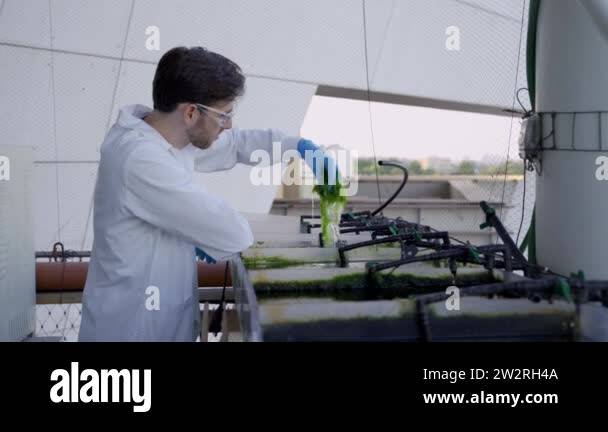 Agronomy lab Stock Videos & Footage - HD and 4K Video Clips - Alamy