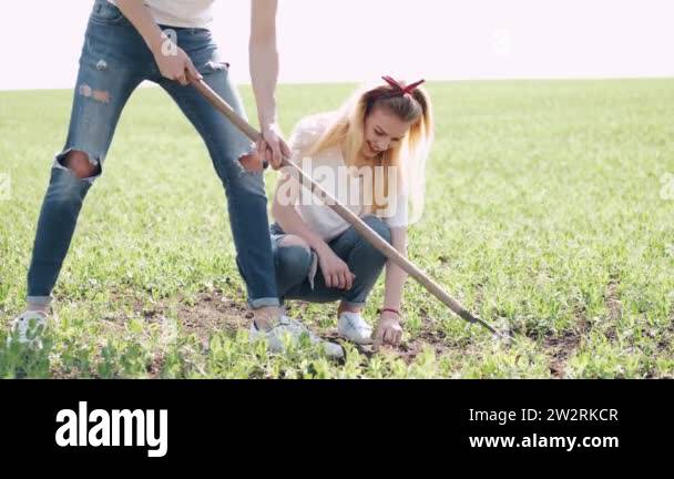 Gardener digging in a field with a spade. Couple using a big shovel for ...