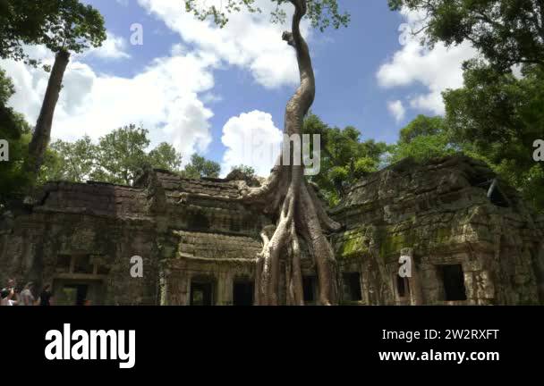Angkor wat ta tree Stock Videos & Footage - HD and 4K Video Clips - Alamy