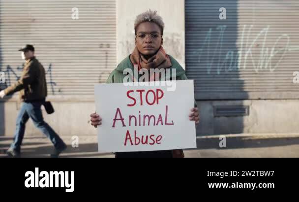Animal activists holding signs Stock Videos & Footage - HD and 4K Video ...