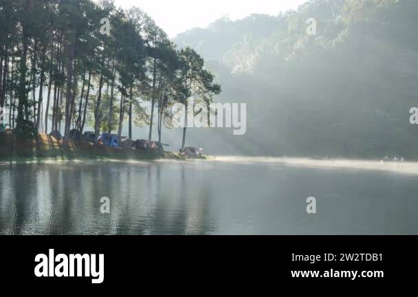 Pang ung forestry plantations Stock Videos & Footage - HD and 4K Video ...