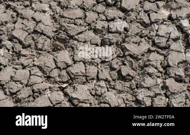 Natural soil texture Stock Videos & Footage - HD and 4K Video Clips - Alamy