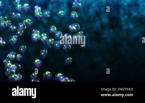 Flying many soap bubbles. Realistic water sphere with rainbow colors ...