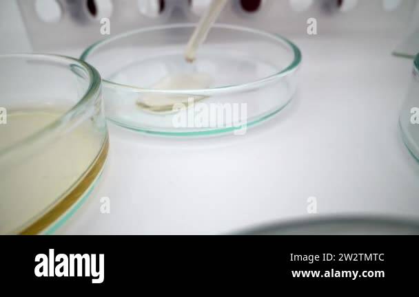 Sample plates Stock Videos & Footage - HD and 4K Video Clips - Alamy