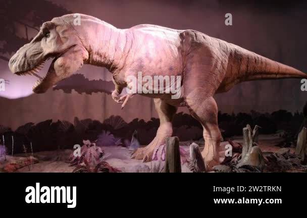 Head big t rex dinosaur Stock Videos & Footage - HD and 4K Video Clips ...