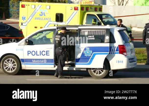Canine police officer from the SPVM brings dog out of car at crime ...