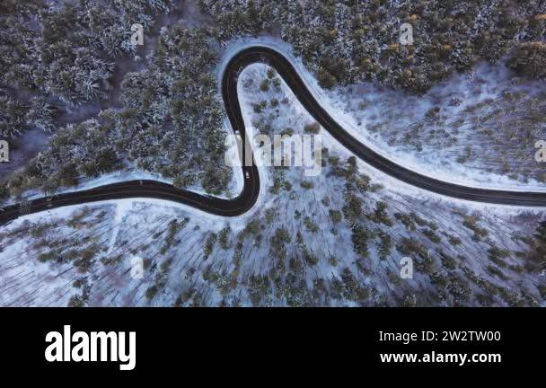 Birds eye view snow tree Stock Videos & Footage - HD and 4K Video Clips ...