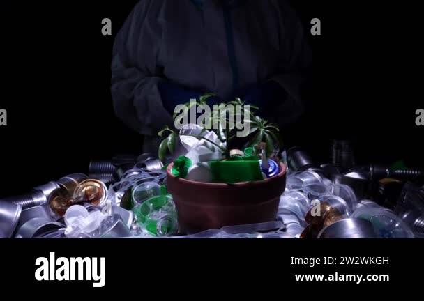 Ecologist scientist showing plant growing in contaminated poisoned ...