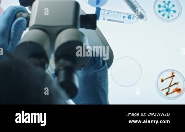 Microbiology Laboratory: Scientist Looking Under Microscope at Petri ...