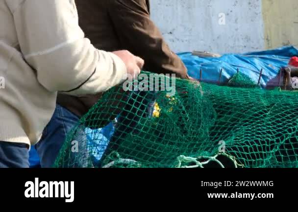 Men with fishing net Stock Videos & Footage - HD and 4K Video Clips - Alamy