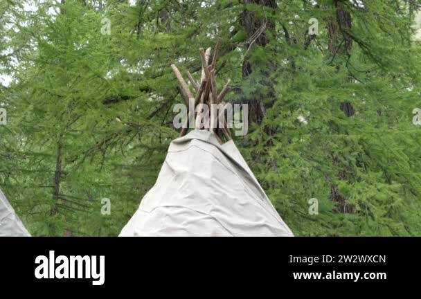 Traditional woodland plants Stock Videos & Footage - HD and 4K Video ...