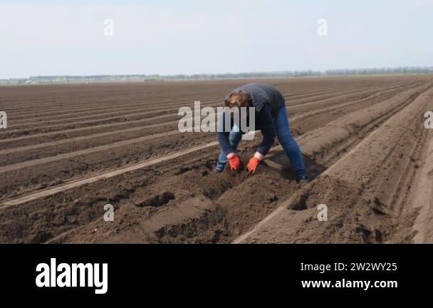 Rural furrow modern farming countryside agricultural cultivation Stock ...