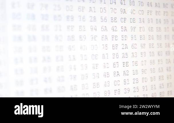 Binary Code Hexadecimal Program Code On Screen Animated Background Of Moving Binary Code
