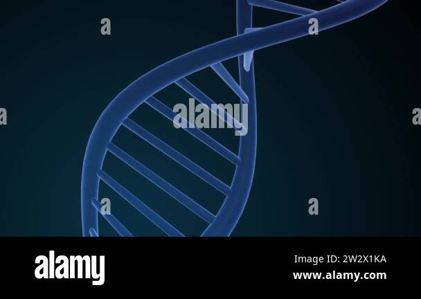 DNA structure - Deoxyribonucleic acid. 3D animation for medical ...