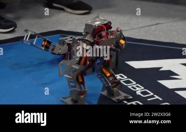 Competition robot technology. Couple of modern robots fighting. Two retro robots face off boxing ...