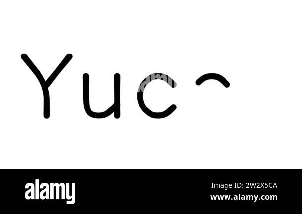 Yucca Handwritten Text Animation in Various Sans-Serif Fonts and ...