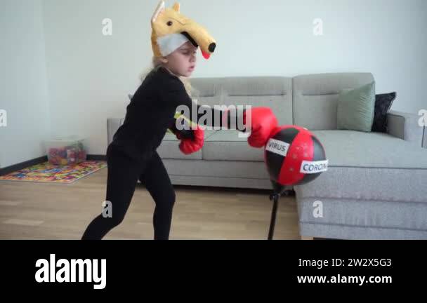 Fox boxing Stock Videos & Footage - HD and 4K Video Clips - Alamy