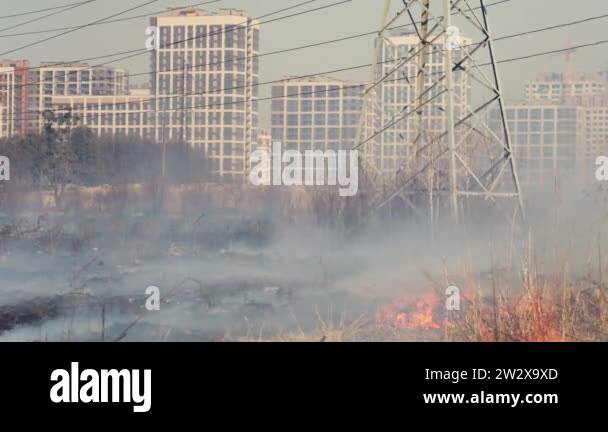 Forest fire with smoke near the city. Burning grass among power poles ...