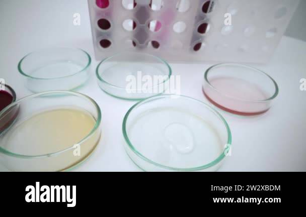 4K, Work lab testing for infectious coronavirus. COVID-19 pandemic ...