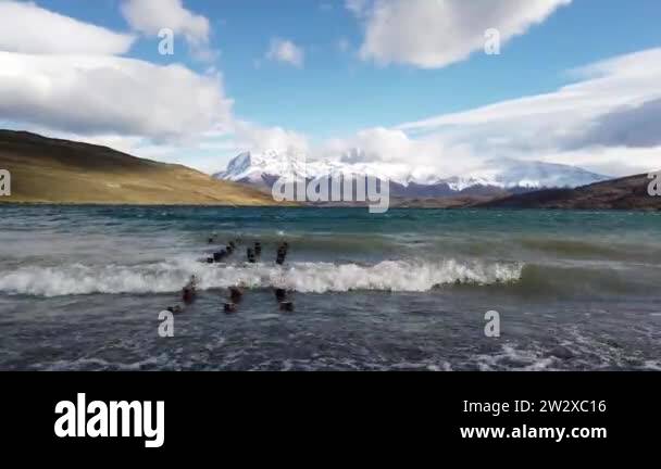 Mountains of patagonia, mountain landscapes of patagonia. View of Mount ...