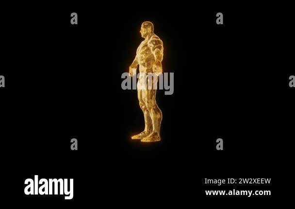 Body builder statue Stock Videos & Footage - HD and 4K Video Clips - Alamy