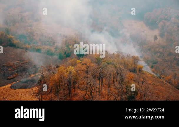 Smog of forest fires. Deforestation and Climate crisis. Toxic haze from ...