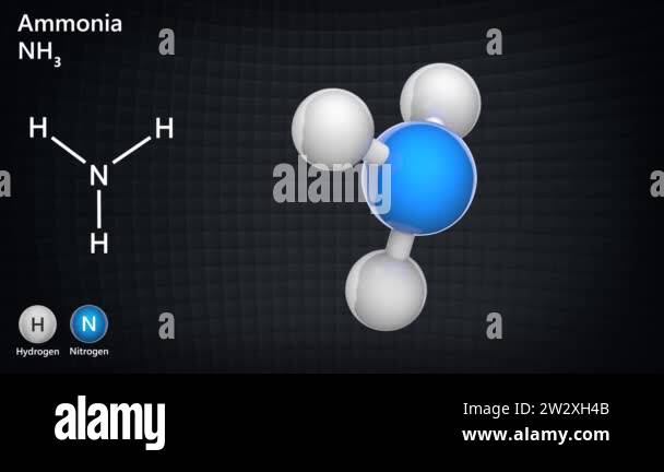 Body decomposition Stock Videos & Footage - HD and 4K Video Clips - Alamy
