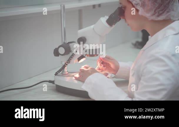 Woman scientist start working with microscope. Microbiologist looking microscope. Microbiology ...