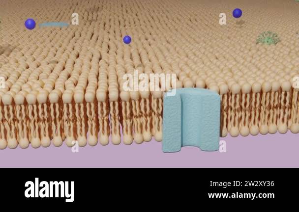 Molecule passing through a protein channel and virus passing through a ...