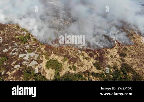Forest fire ground disaster burning Stock Videos & Footage - HD and 4K ...