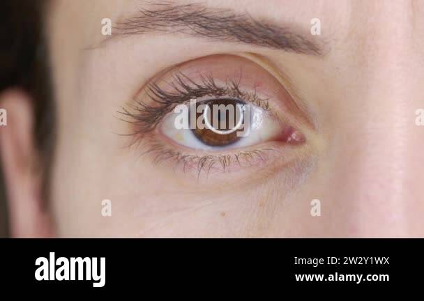 Beautiful human eye close-up. Young Woman brown one eye. Macro Closeup ...