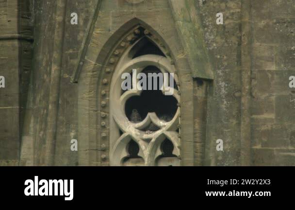 Gothic tower window Stock Videos & Footage - HD and 4K Video Clips - Alamy