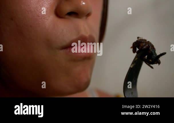 Person eating bug Stock Videos & Footage - HD and 4K Video Clips - Alamy