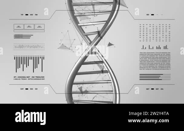 DNA structure - Deoxyribonucleic acid. 3D animation for medical ...
