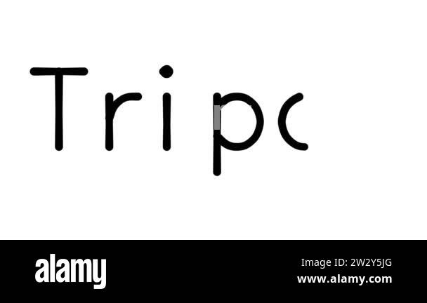 Tripod Handwritten Text Animation in Various Sans-Serif Fonts and ...