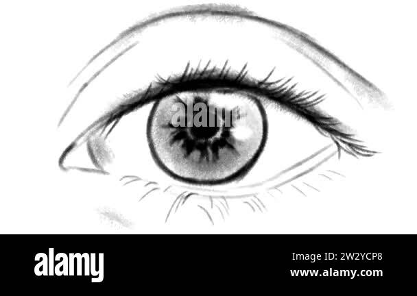 Black-and-white classic animation of gradual expansion and narrowing of ...