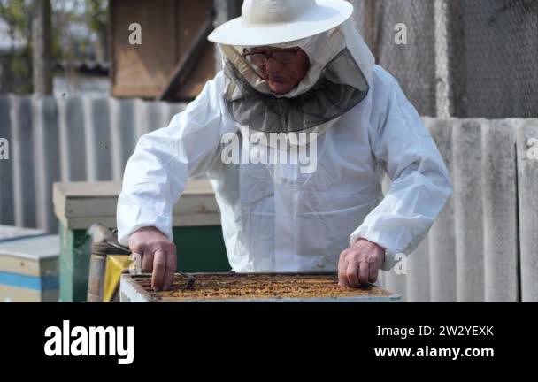 male beekeeper in glasses for vision in professional protective suit ...