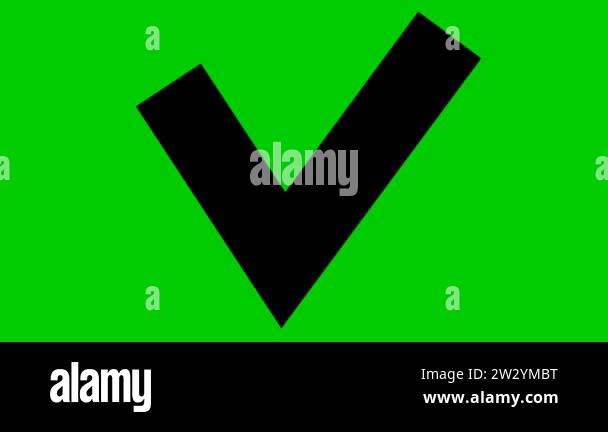 Animated black check mark appears. Flat vector illustration isolated on ...