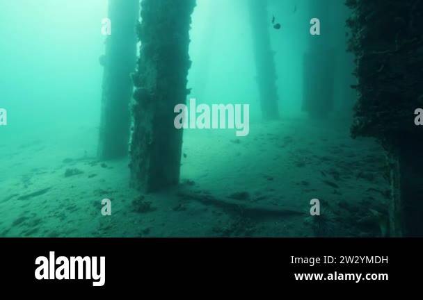Underwater pier piling Stock Videos & Footage - HD and 4K Video Clips ...
