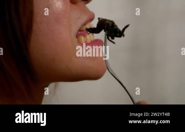 Cambodia fried spider Stock Videos & Footage - HD and 4K Video Clips ...