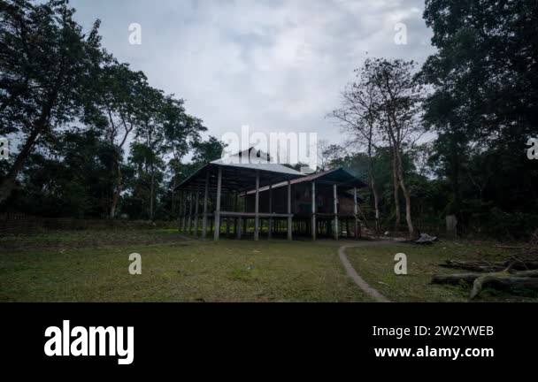 Festival of assam Stock Videos & Footage - HD and 4K Video Clips - Alamy