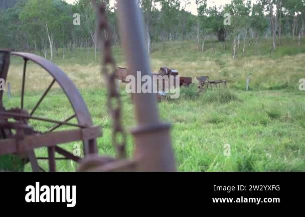 Grassy paddock Stock Videos & Footage - HD and 4K Video Clips - Alamy