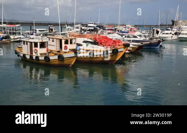 Modelo natural Stock Videos & Footage - HD and 4K Video Clips - Alamy