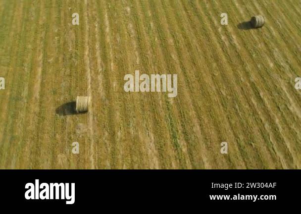 Fodder for cattle Stock Videos & Footage - HD and 4K Video Clips - Alamy