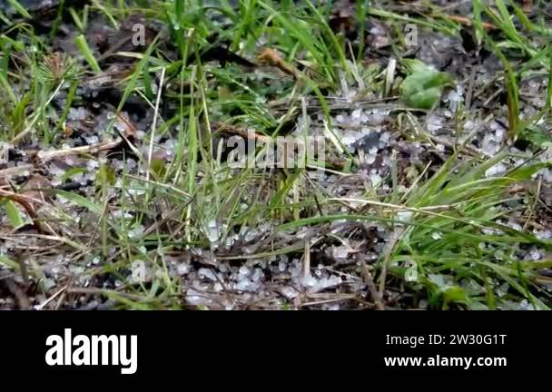 Ice of the soil Stock Videos & Footage - HD and 4K Video Clips - Alamy