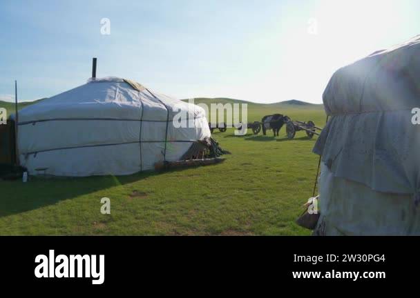 White ger tents and ox cart tumbrel in weadows of Mongolia.Tumbrel ...