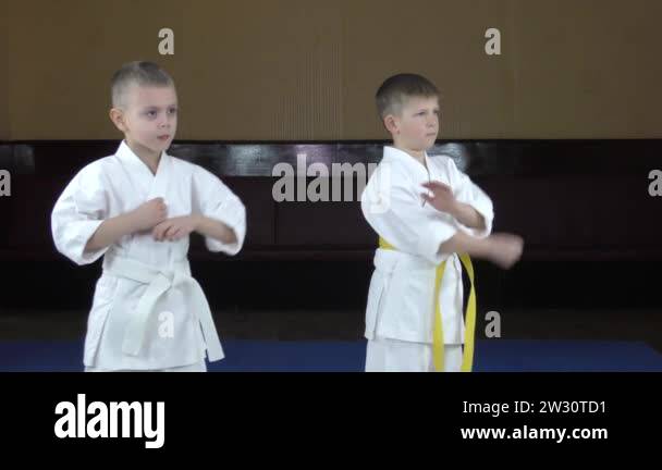 White belts Stock Videos & Footage - HD and 4K Video Clips - Alamy