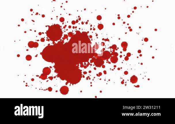 Blood Splatter And Stains Animation Effect/ 4k animation of a pack of ...